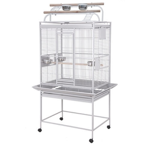 Shop - Todd Marcus Bird Exotic