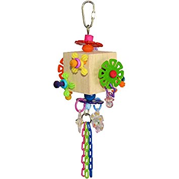 Dancing Daisies - Todd Marcus Bird Exotic