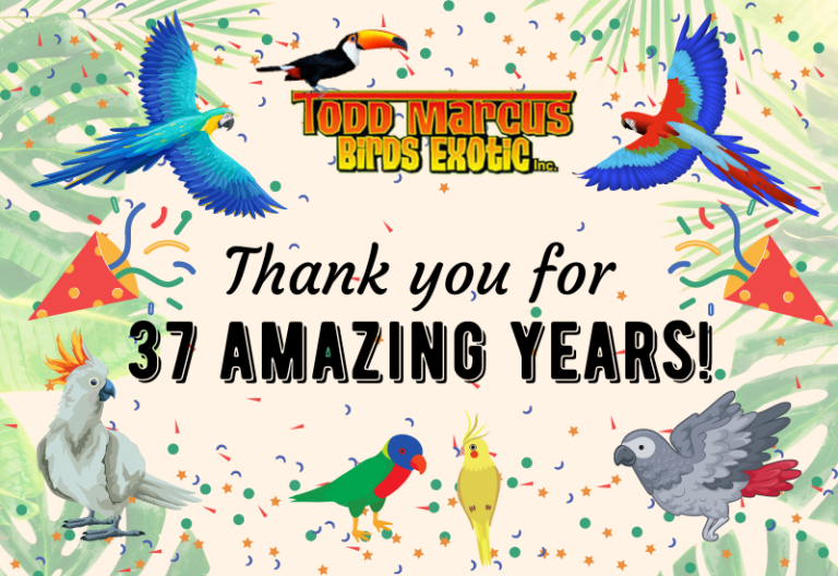 Todd Marcus Birds Exotic Celebrates 37 Years in Business - Todd Marcus ...