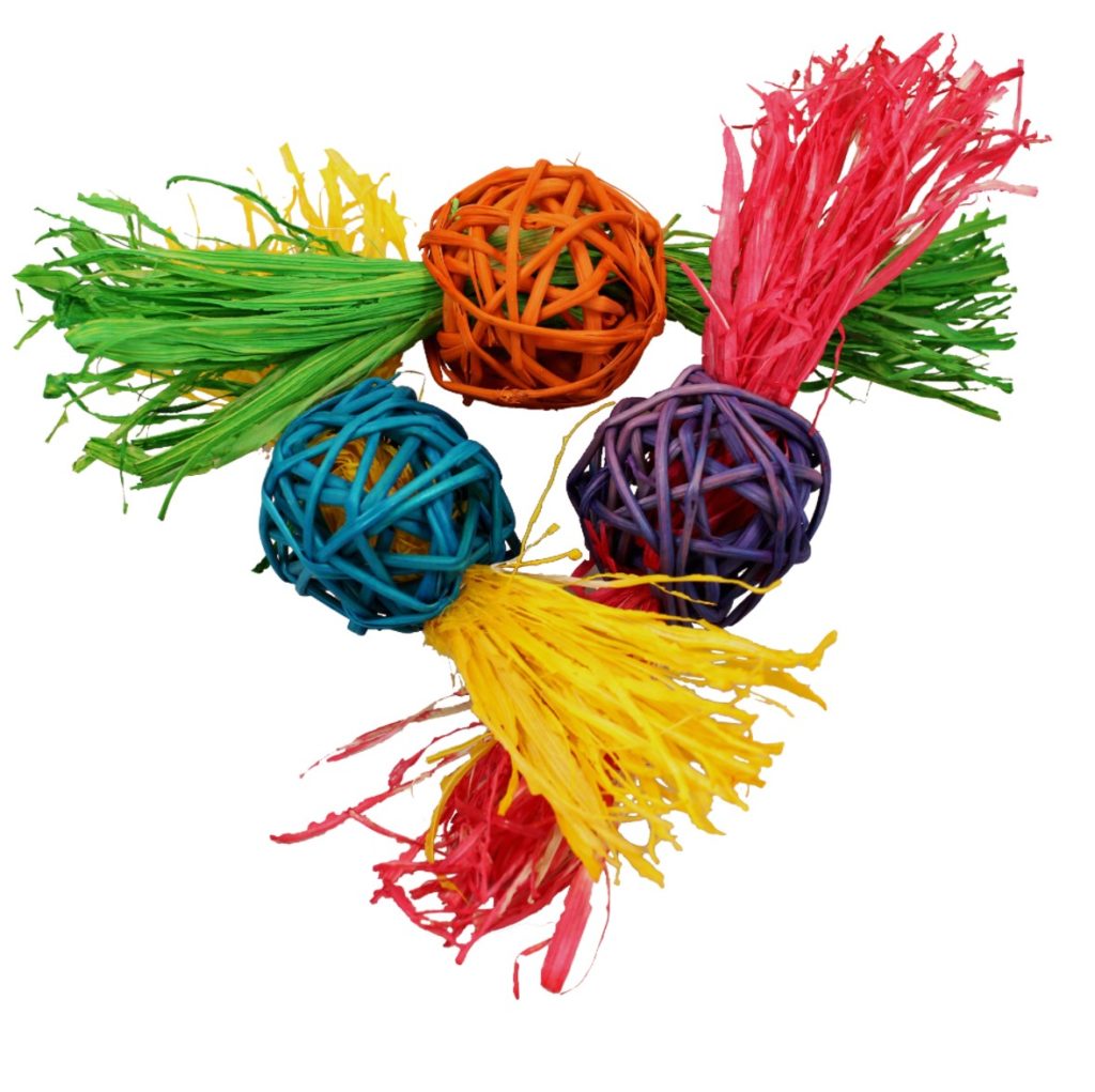 Foot Toys Archives - Todd Marcus Bird Exotic