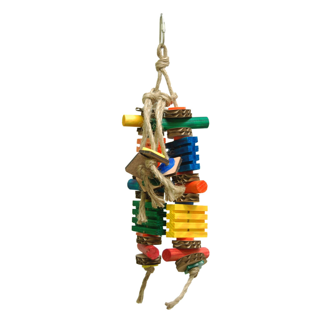 Picoti - Todd Marcus Bird Exotic