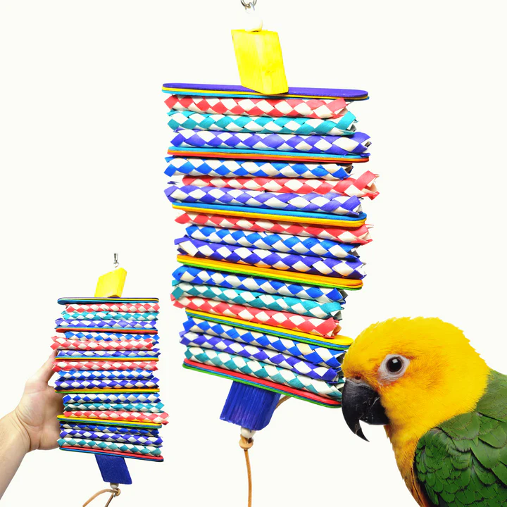 Big Step Shredder - Todd Marcus Bird Exotic