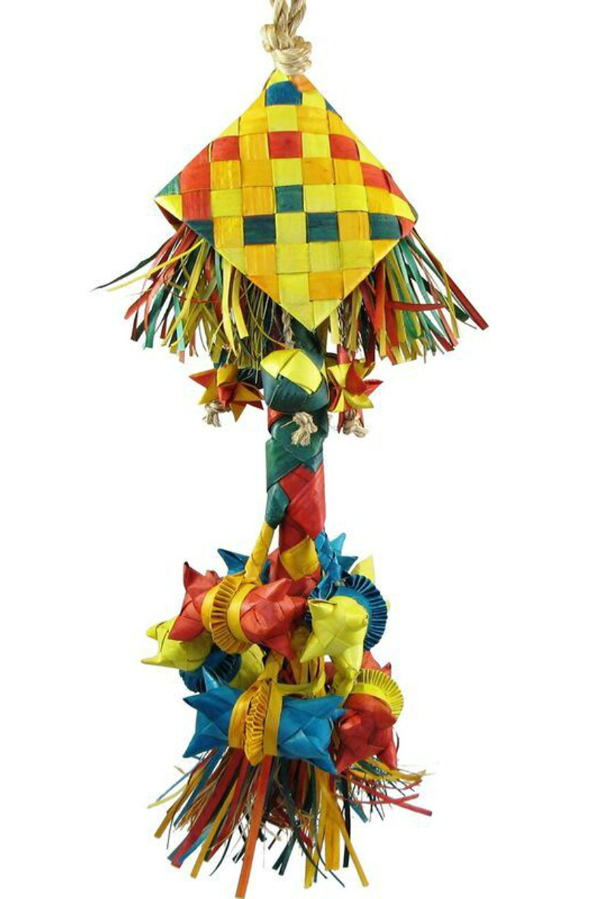 Rattle - Todd Marcus Bird Exotic