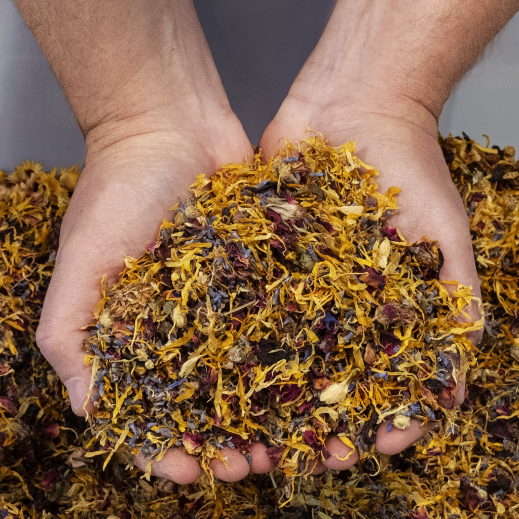 Biodiversity Flower Forage - Todd Marcus Bird Exotic