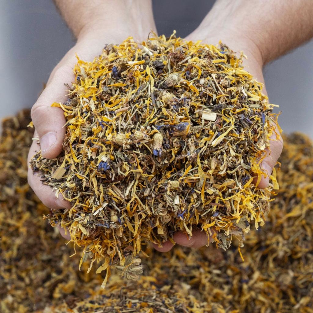 Free and Clear Tea - Todd Marcus Bird Exotic